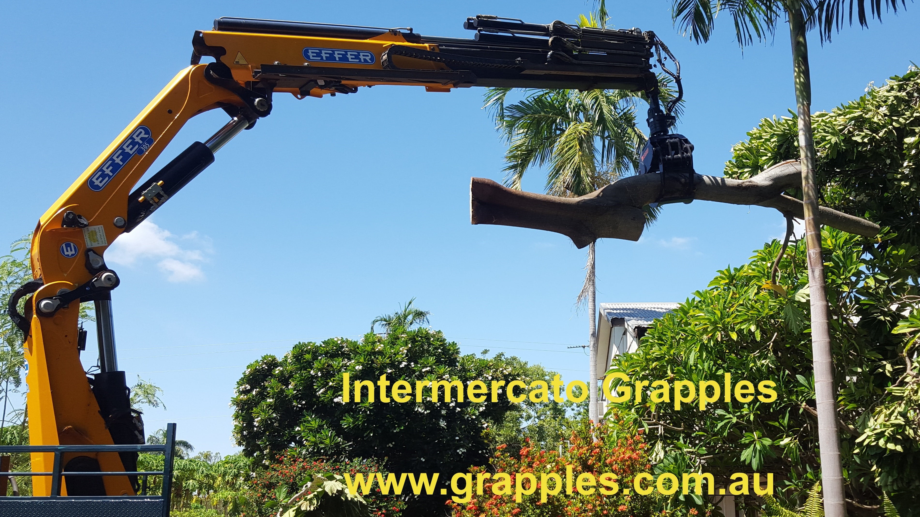 Crane Log Grapples - Crane Log Grapple - Log Grapples - Log Grapple