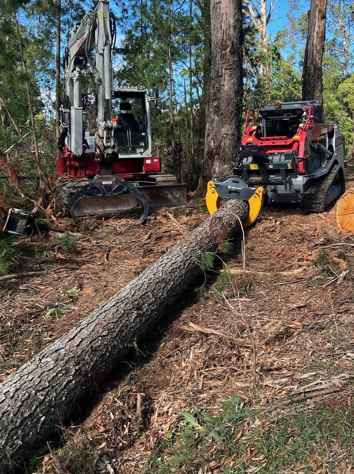 Log Skidding Grapple | Log Snigging Grapple