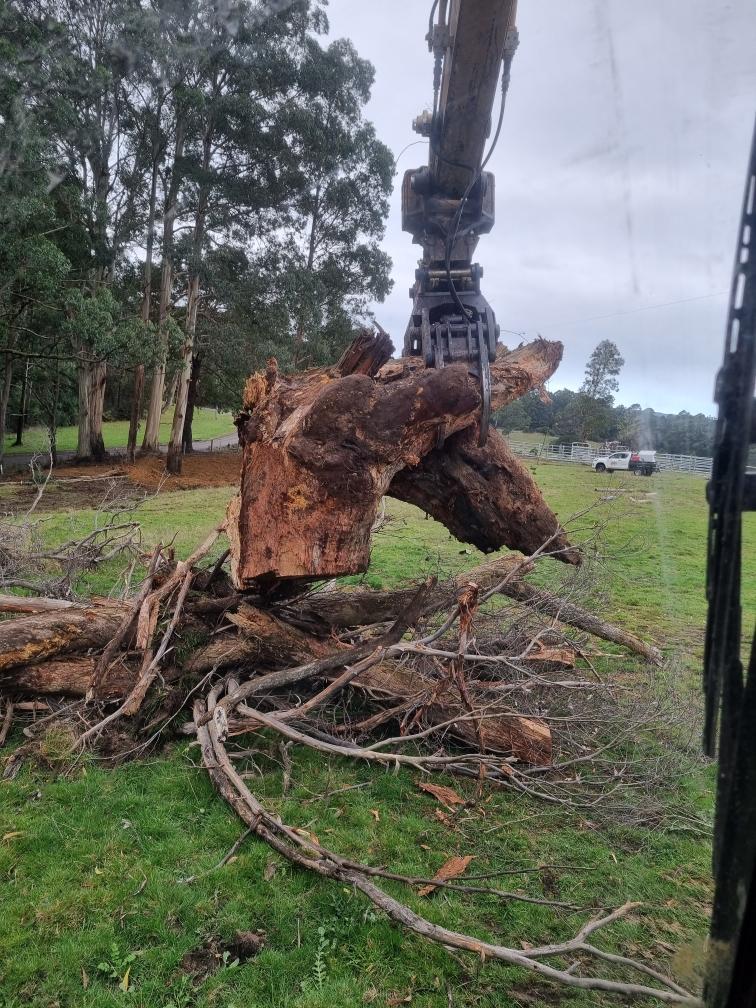 Stone Rock Grabs | Stone Rock Grab