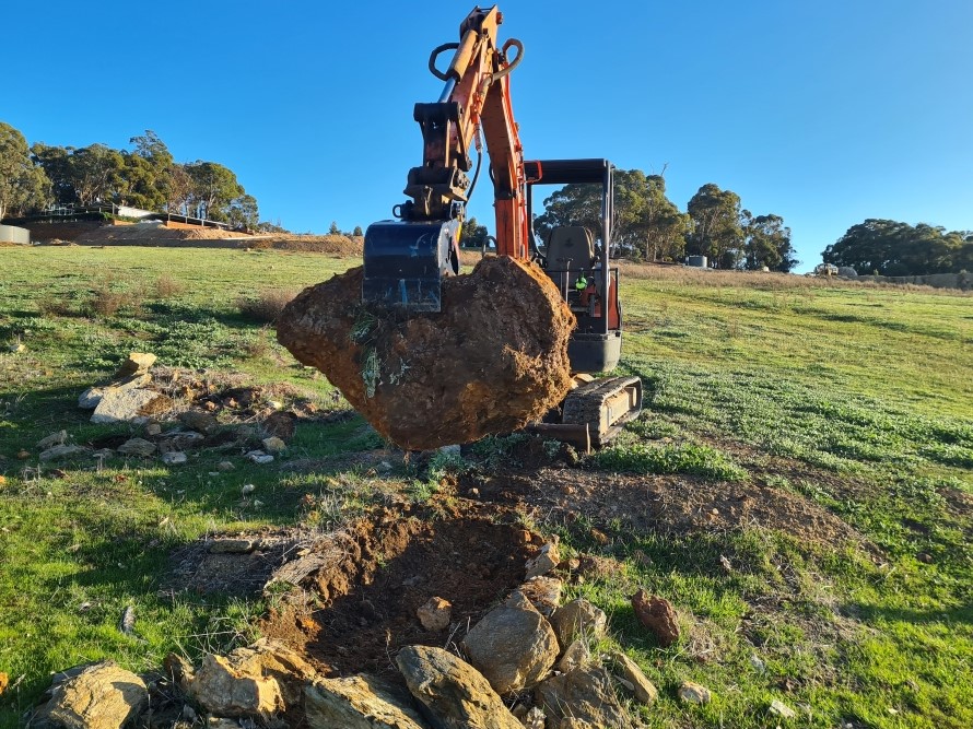 Excavator Sorting Grabs