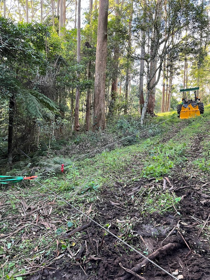 Forestry Logging Winch