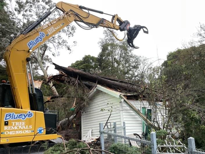 Rotating Log Grab - Worm Drive