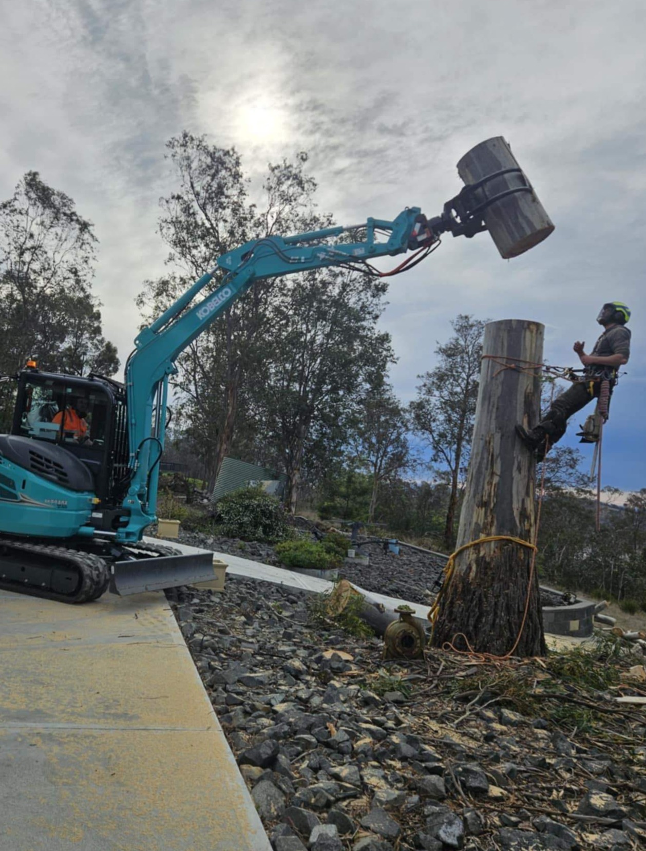 Rotating Log Grab - Worm Drive