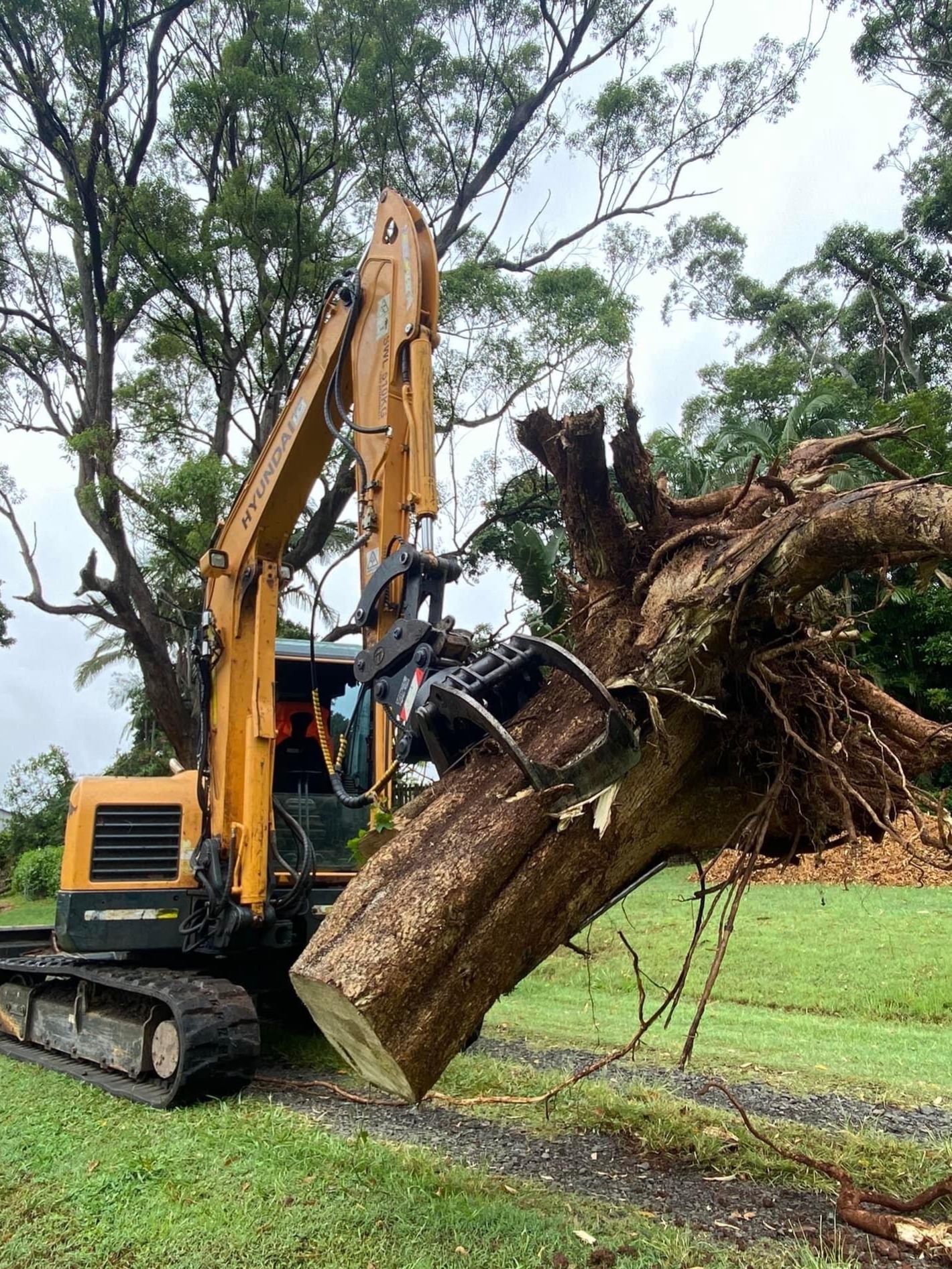 Rotating Log Grab - Worm Drive