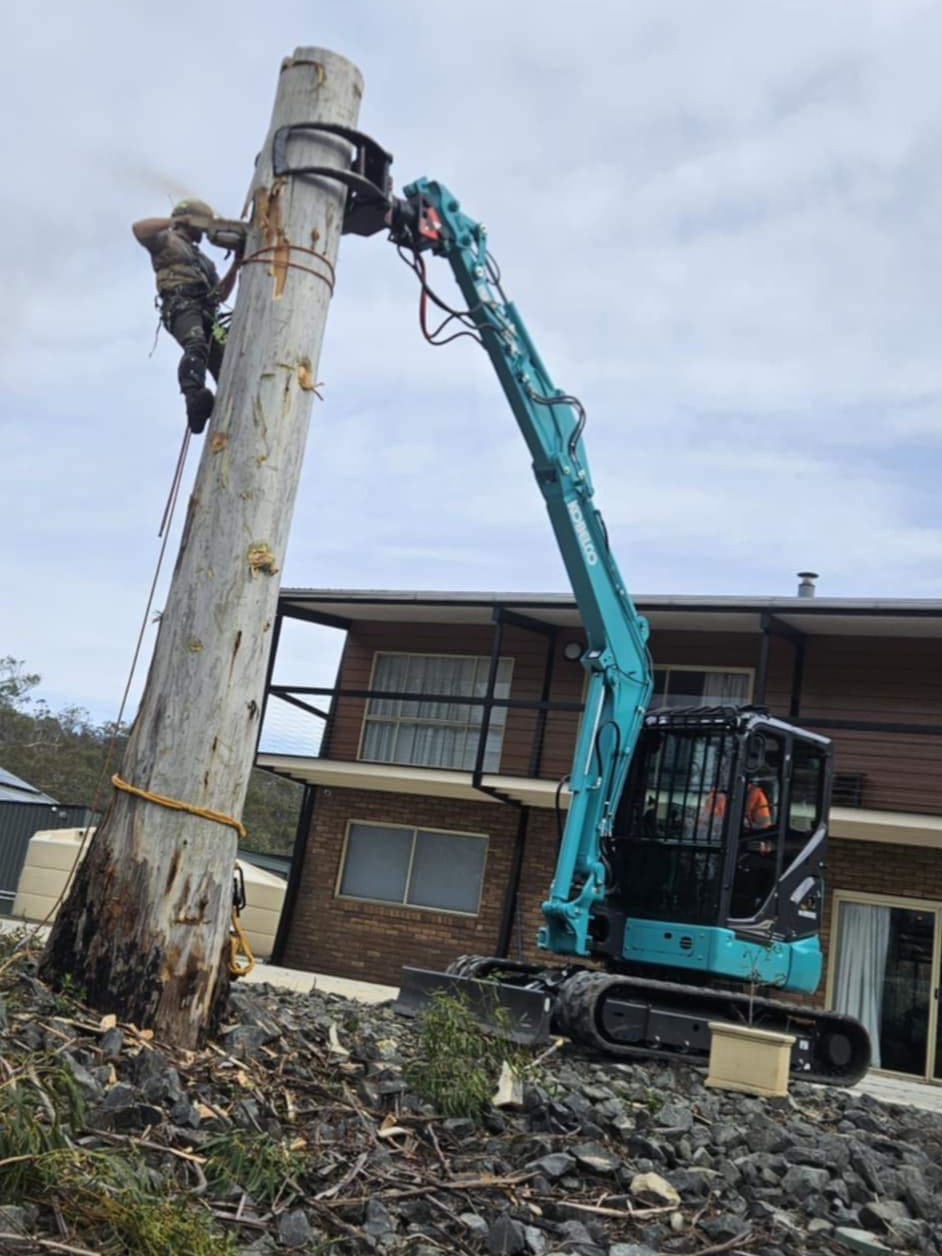 Rotating Log Grab - Worm Drive