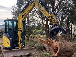Excavator Hydraulic Rotating Sorting Grabs